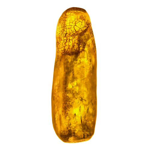 13,50 g Amber nugget with inclusion - FLORINUS