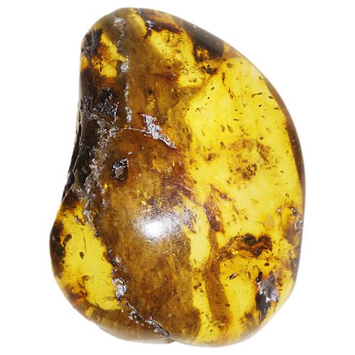 16,70 g Amber nugget - FLORINUS