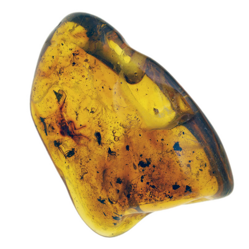 5,15 g. Amber Nugget with inclusion! - Florinus.lv