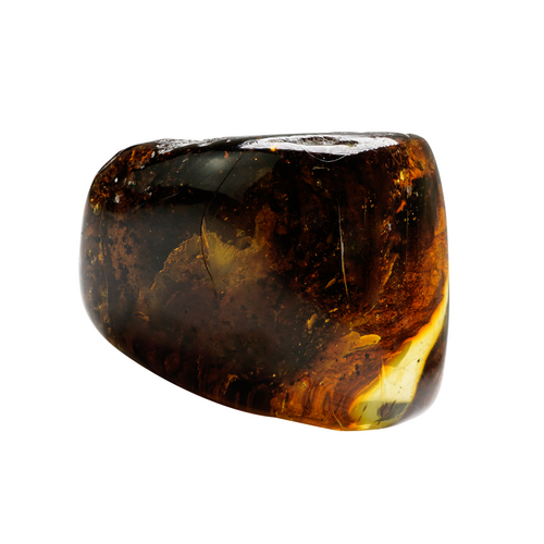 29,20 g Amber nugget with inclusion - FLORINUS