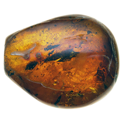 13,45 g. Amber Nugget with inclusion! - Florinus.lv