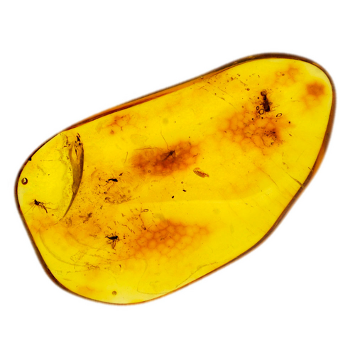 4,80 g. Amber Nugget with inclusion! - Florinus.lv