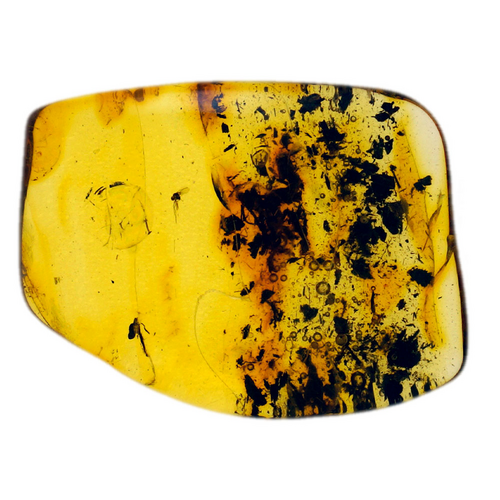 3,15 g. Amber Nugget with inclusion! - Florinus.lv