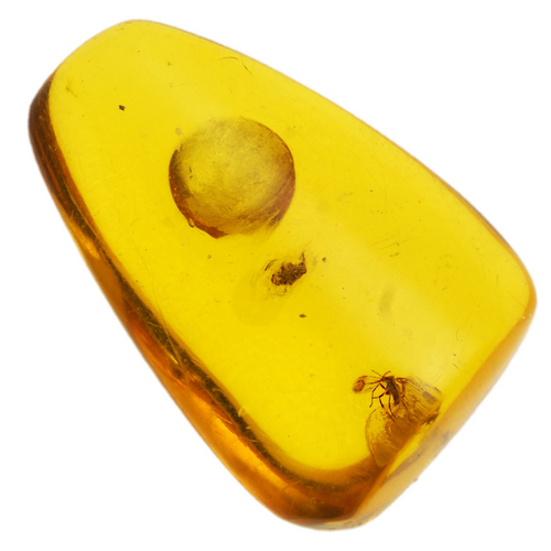 1,55 g. Amber Nugget with inclusion! - Florinus.lv