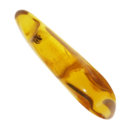 3,50 g Amber Nugget with inclusion - FLORINUS