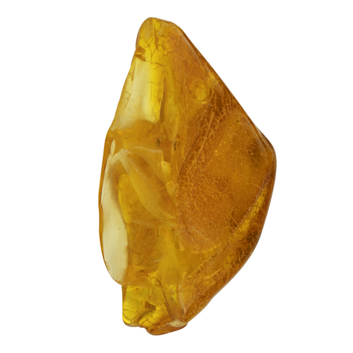 6,70 g Amber nugget with inclusion - FLORINUS