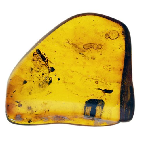 1,90 g. Amber Nugget with inclusion! - Florinus.lv