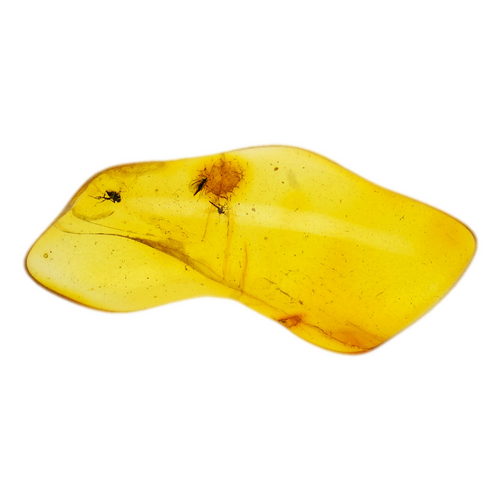 1,80 g. Amber Nugget with inclusion! - Florinus.lv