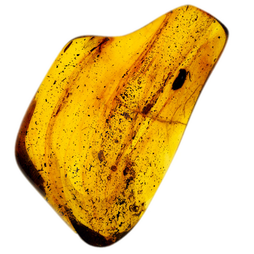 12,25 g. Amber Nugget with inclusion! - Florinus.lv