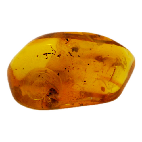 1,35 g. Amber Nugget with inclusion! - Florinus.lv